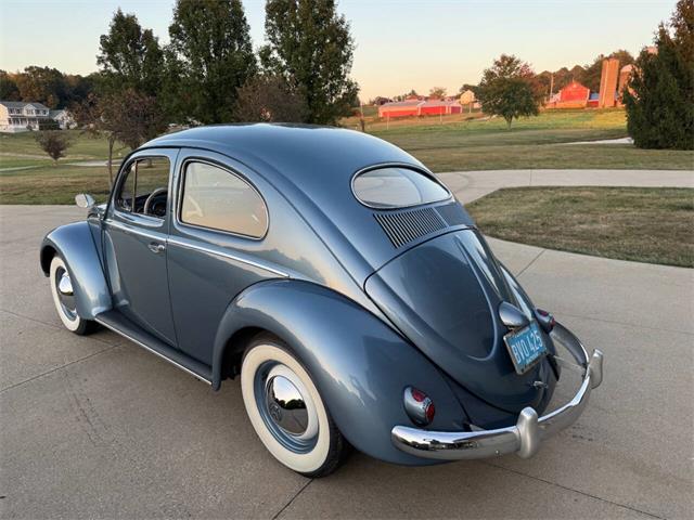 1954 Volkswagen Beetle for Sale | ClassicCars.com | CC-2003711