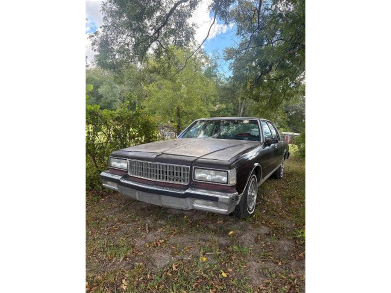1987 Chevrolet Caprice for Sale | ClassicCars.com | CC-2011144