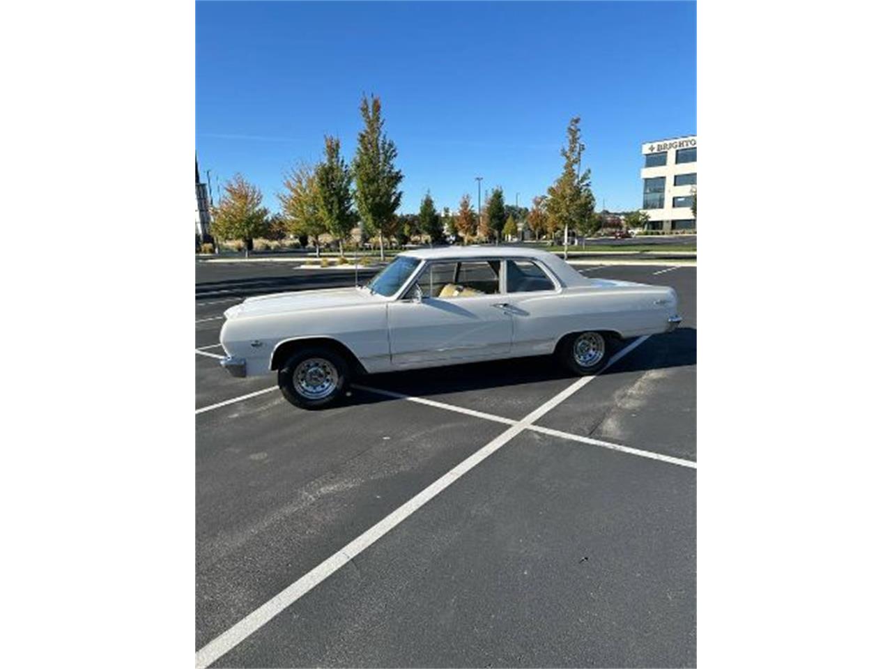 1965 Chevrolet Chevelle for Sale | ClassicCars.com | CC-2011436