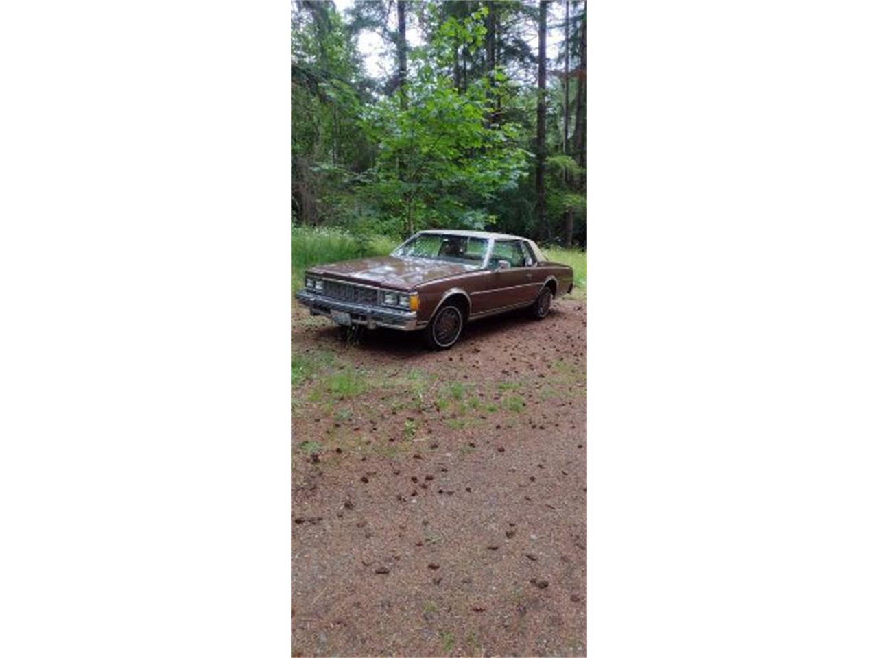 1979 Chevrolet Caprice for Sale | ClassicCars.com | CC-2014970