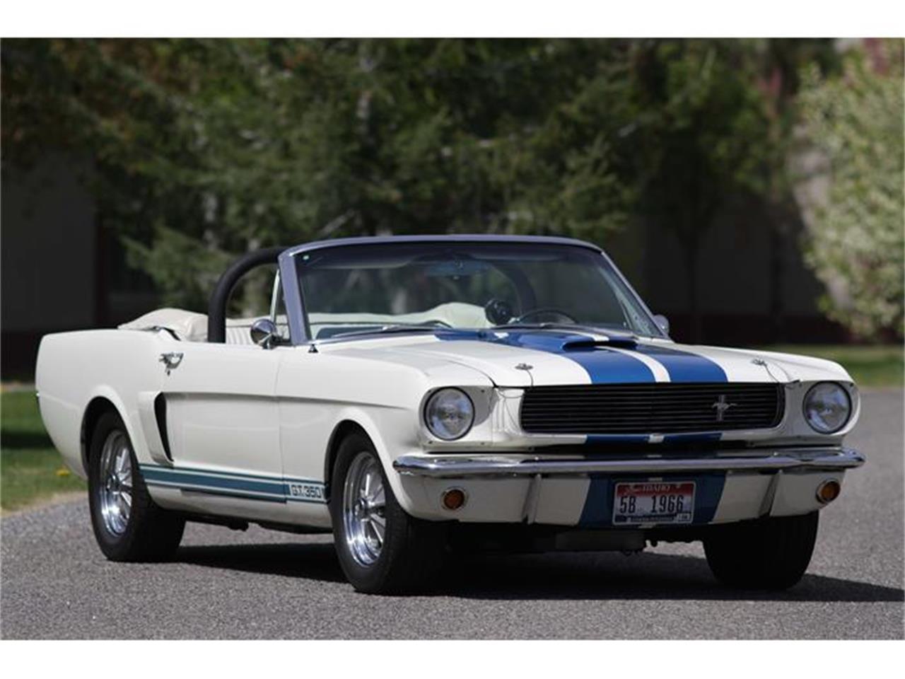 1966 Shelby GT350 for Sale | ClassicCars.com | CC-531134