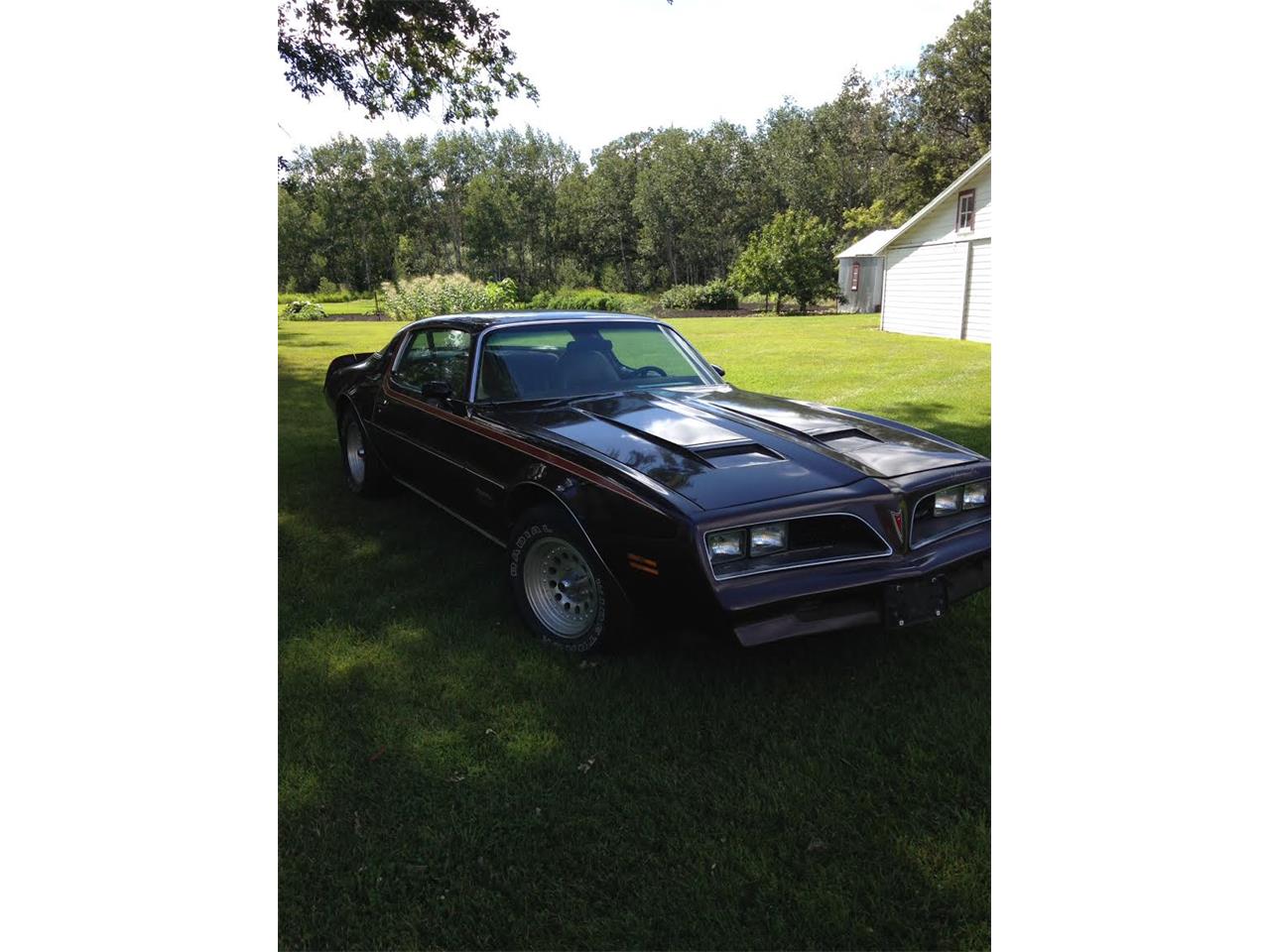 1977 Pontiac Firebird Formula for Sale | ClassicCars.com | CC-704088