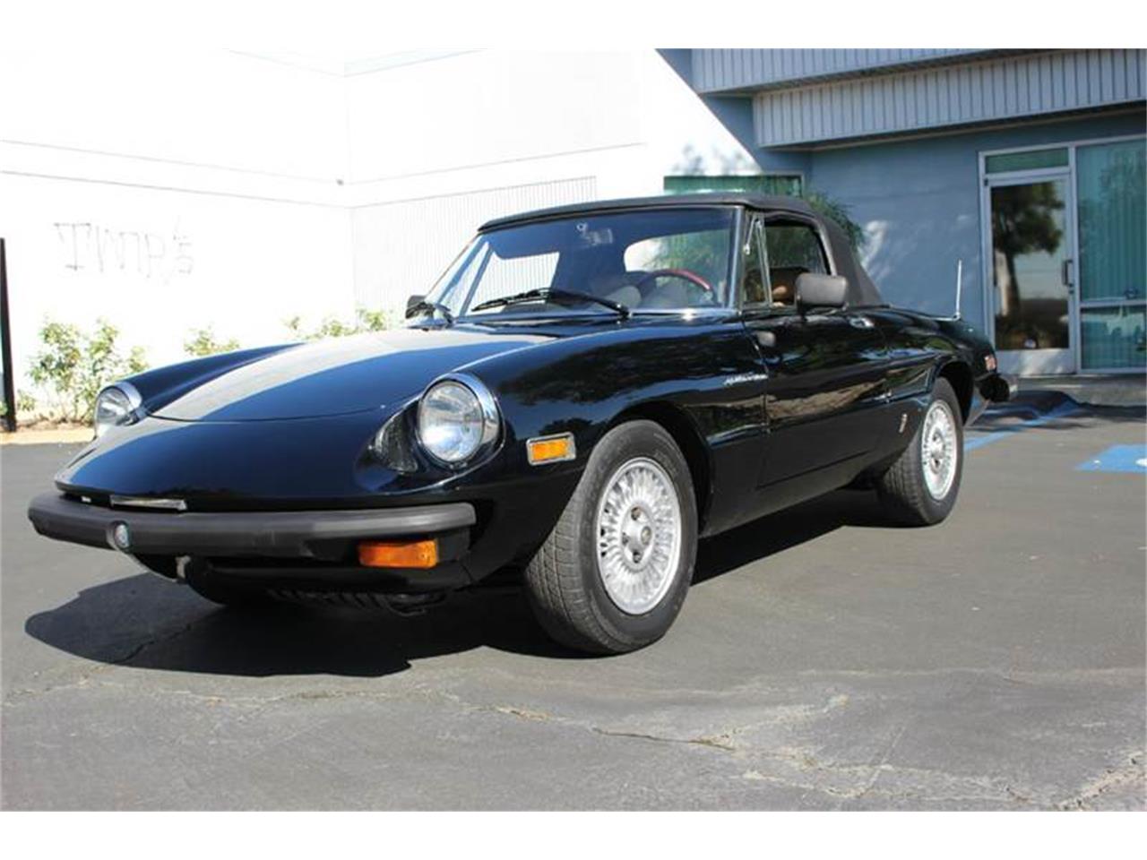 1979 Alfa Romeo Spider for Sale | ClassicCars.com | CC-737270