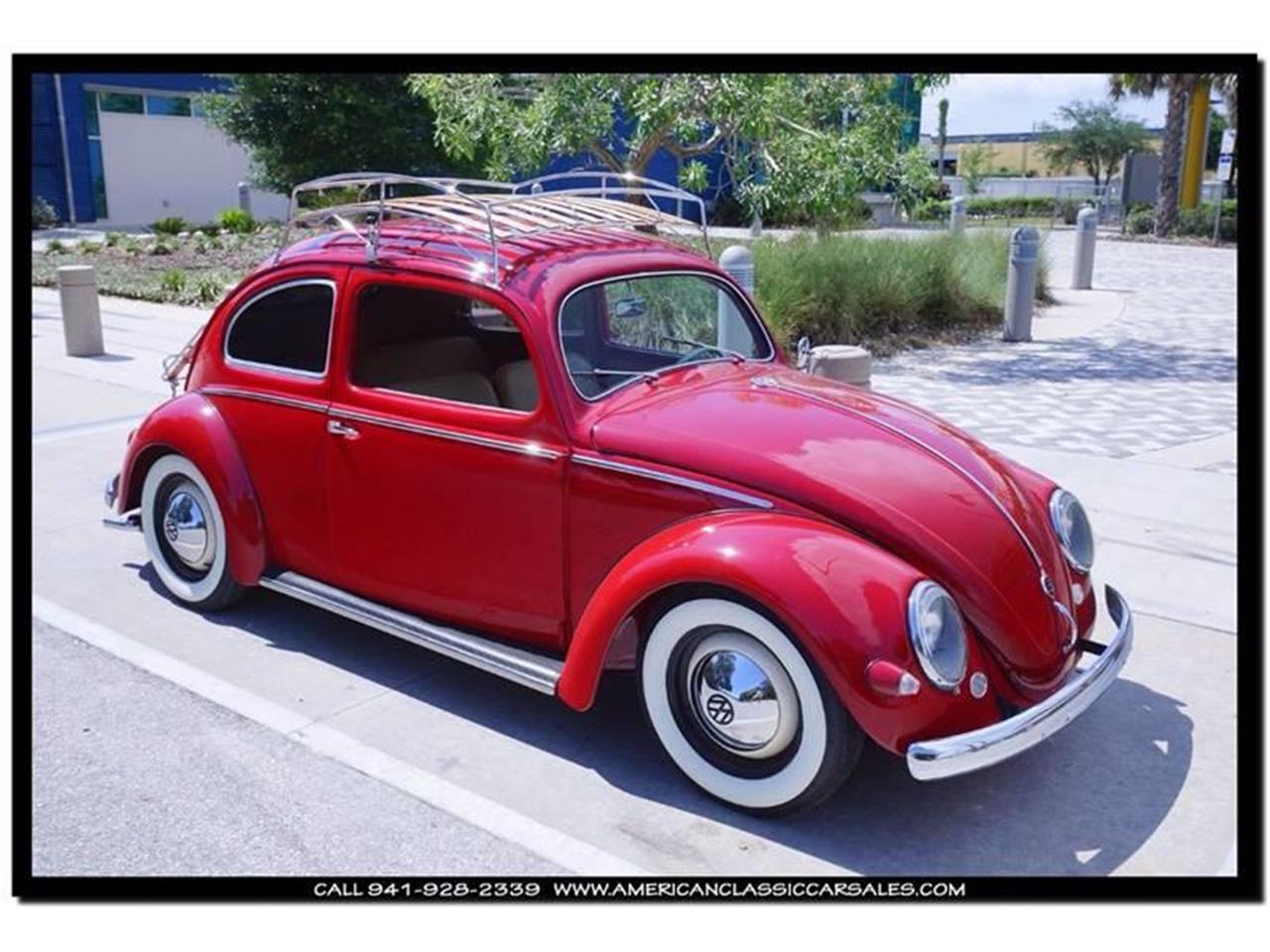 1955 Volkswagen Beetle for Sale | ClassicCars.com | CC-867920