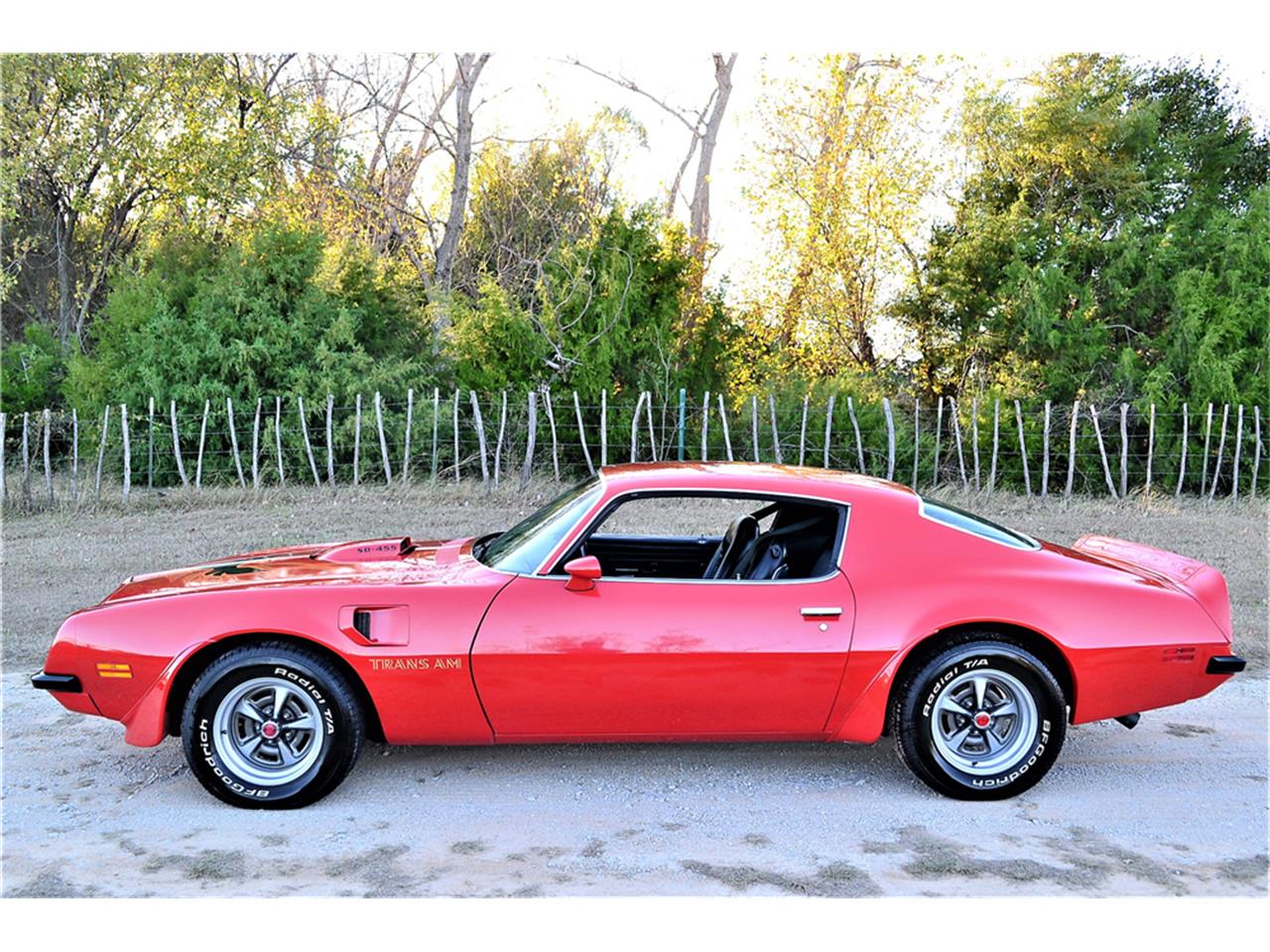 1974 Pontiac Firebird Trans Am for Sale | ClassicCars.com | CC-933339