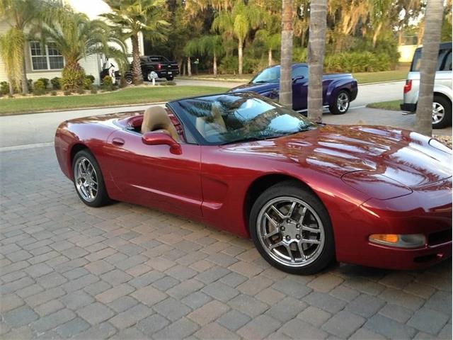 2001 Chevrolet Corvette for Sale | ClassicCars.com | CC-956818