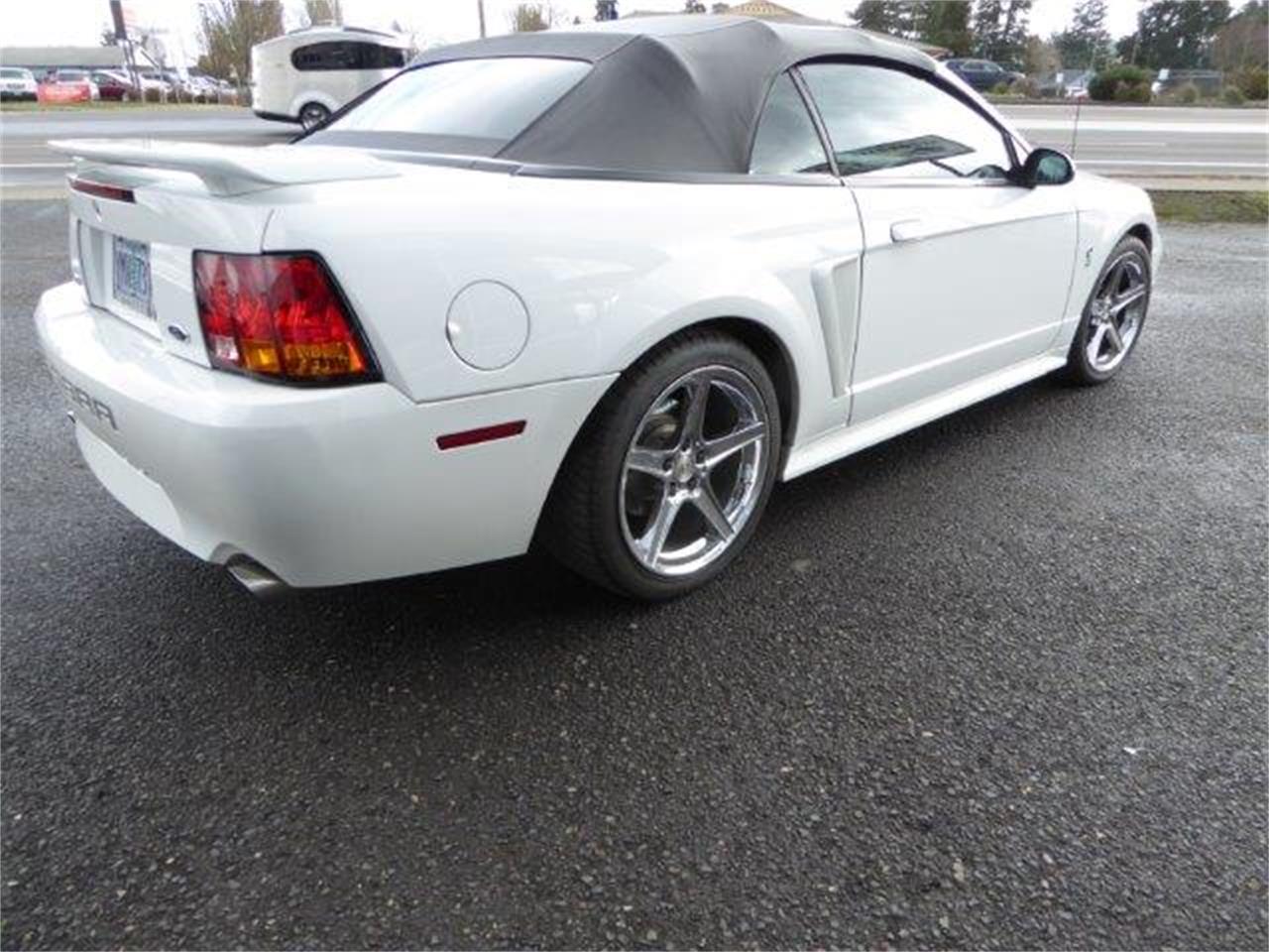 2001 Ford Mustang SVT Cobra Convertible for Sale | ClassicCars.com | CC ...