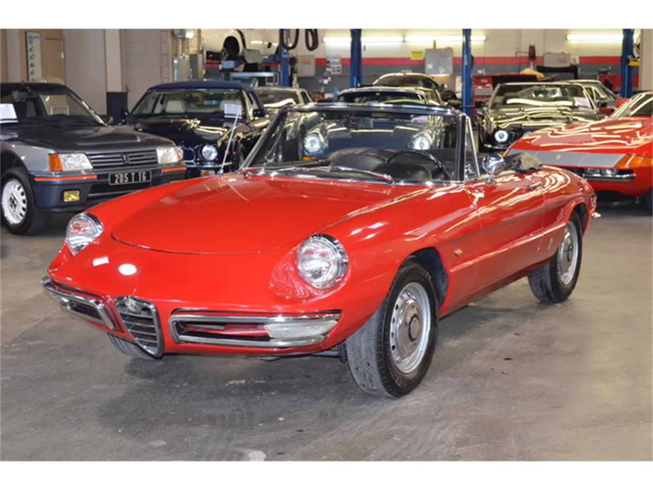 1967 Alfa Romeo Duetto 1600 Spider for Sale | ClassicCars.com | CC-967598