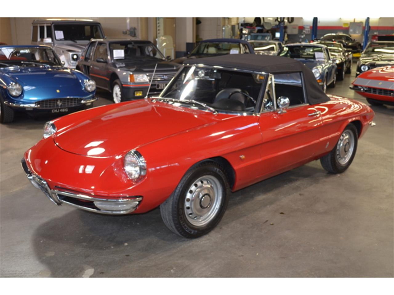 1967 Alfa Romeo Duetto 1600 Spider for Sale | ClassicCars.com | CC-967598