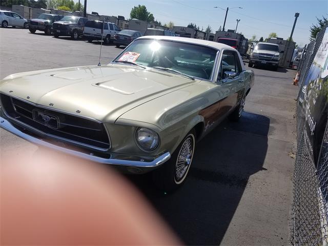 1967 Ford Mustang for Sale | ClassicCars.com | CC-984088