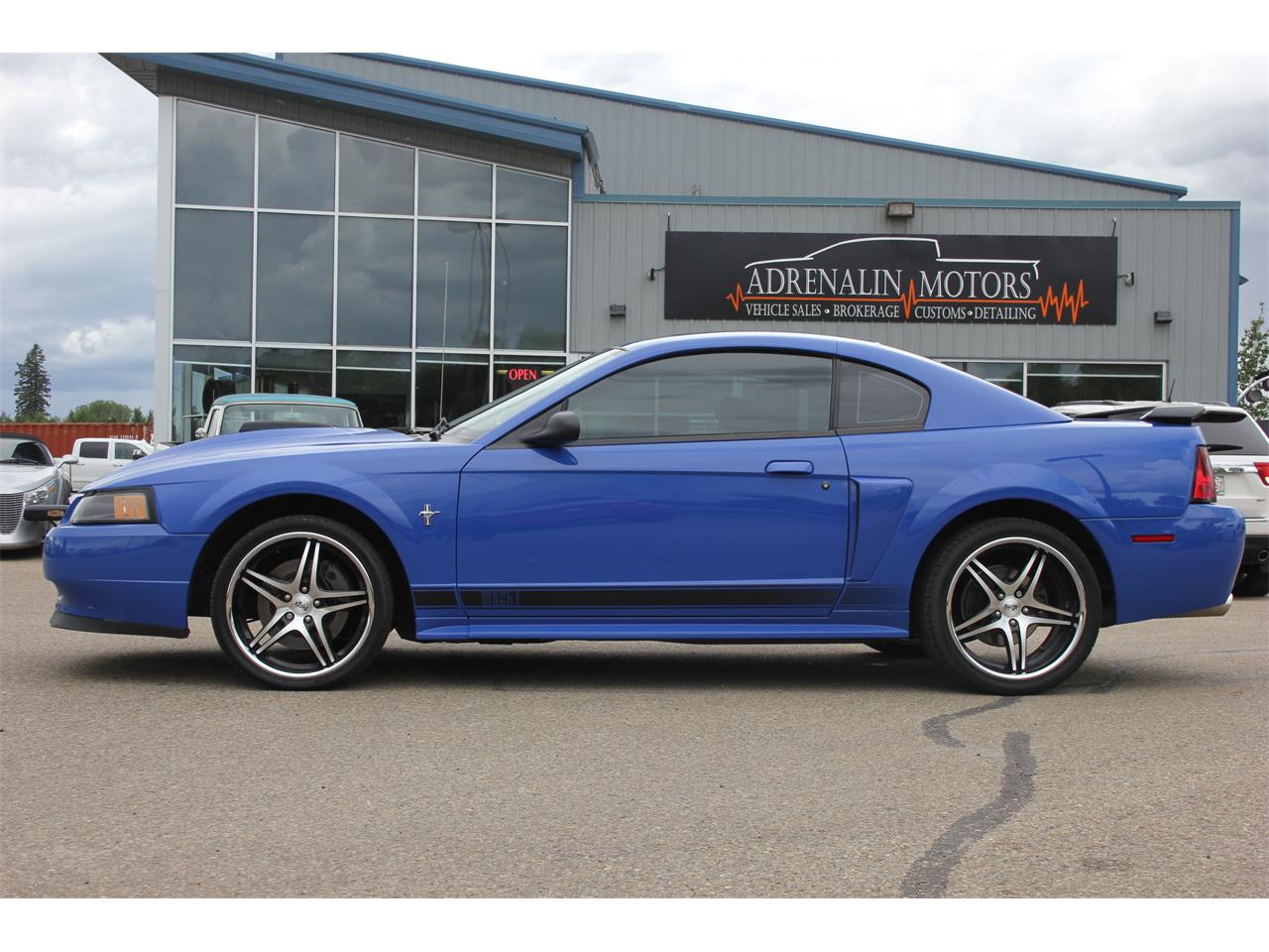 2003 Ford Mustang Mach 1 for Sale | ClassicCars.com | CC-993949