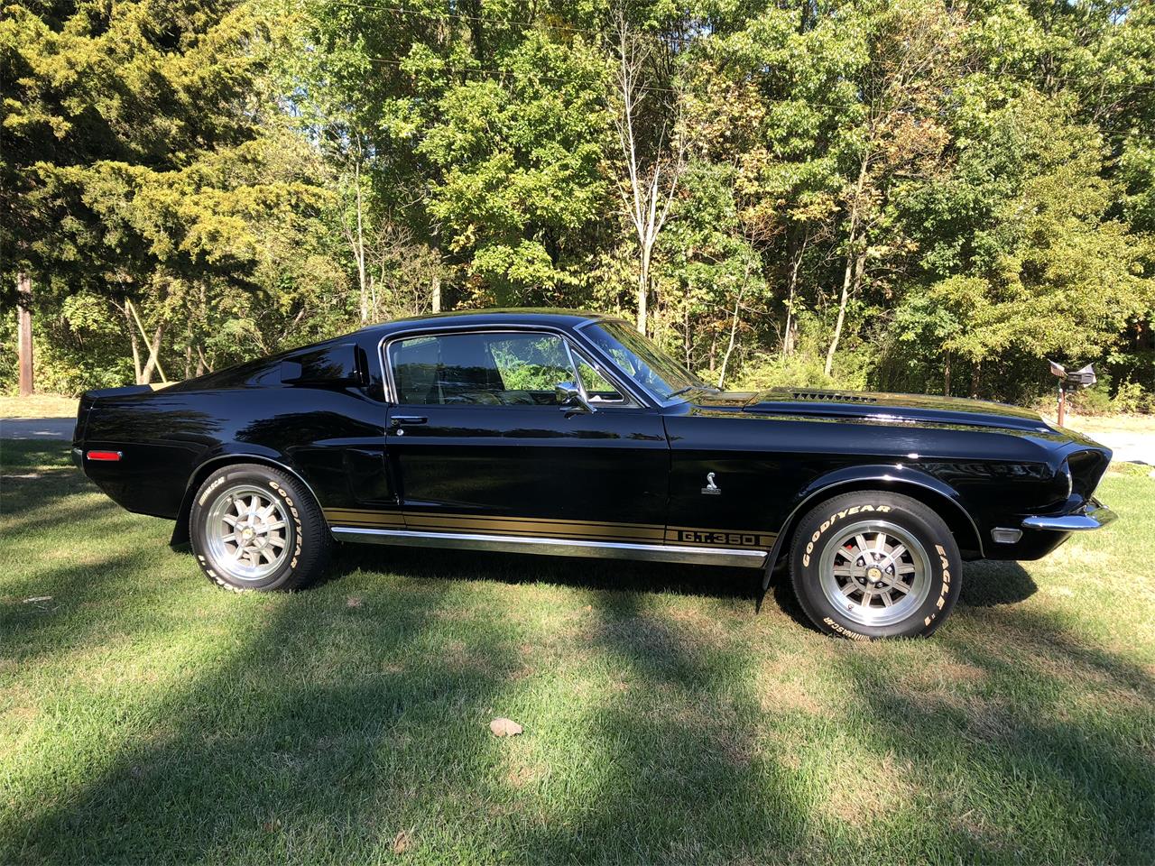 1968 Shelby GT350 for Sale | ClassicCars.com | CC-999954